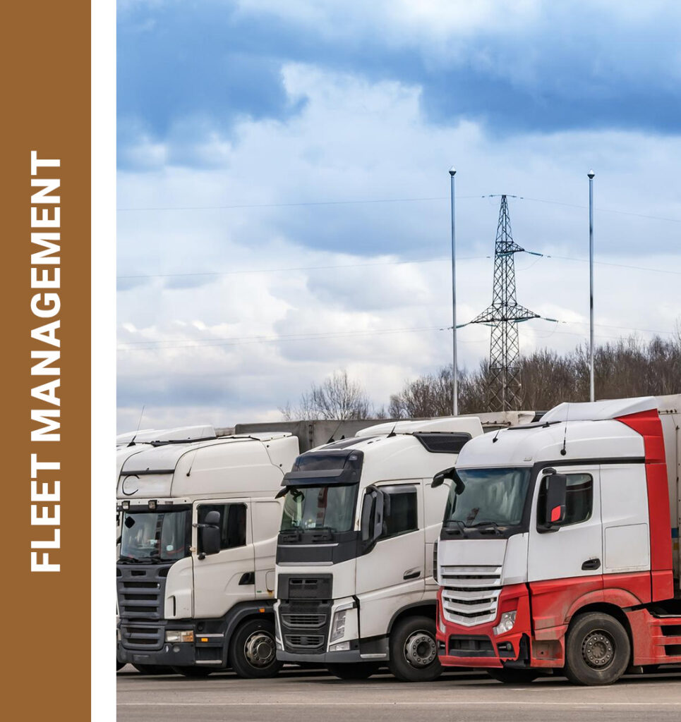 Open Leaf – South Africa